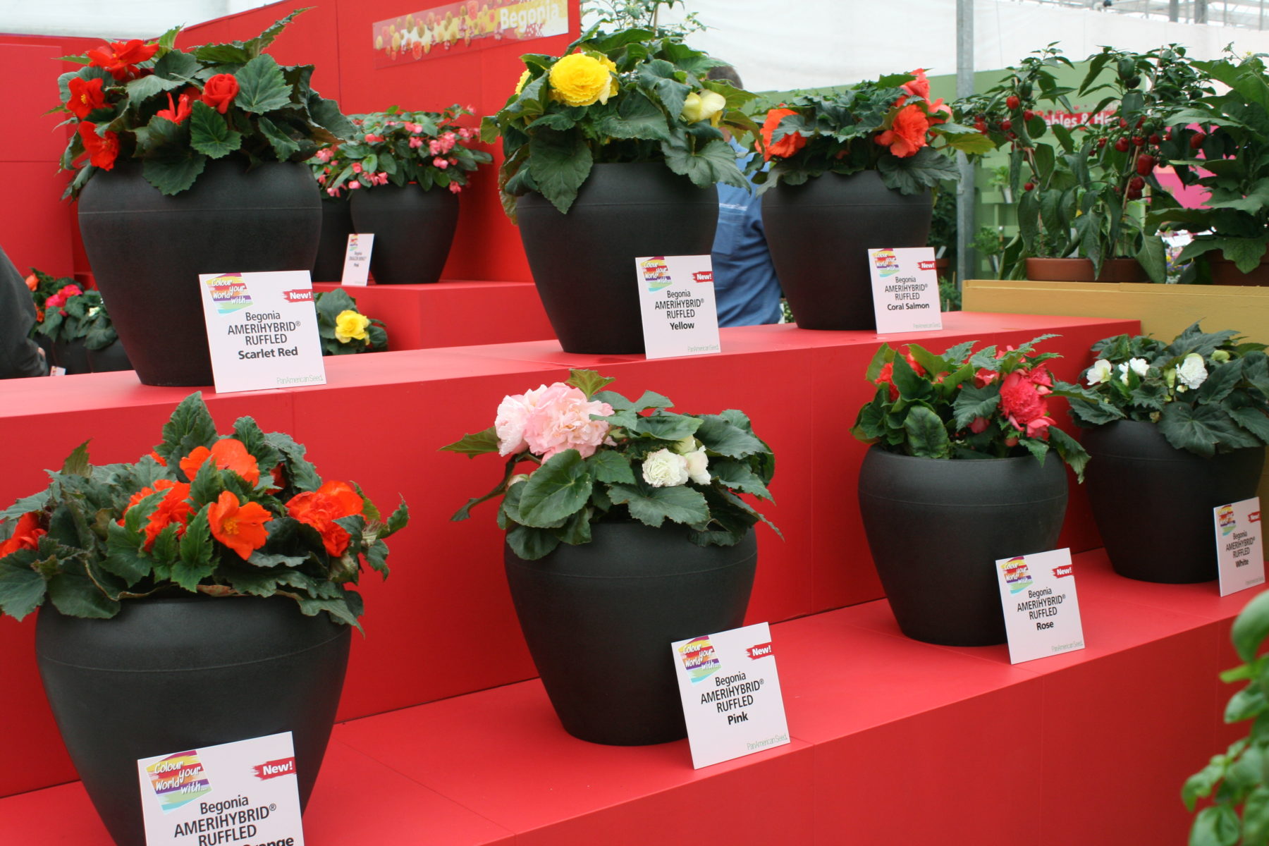 Flower Trials • AIPH