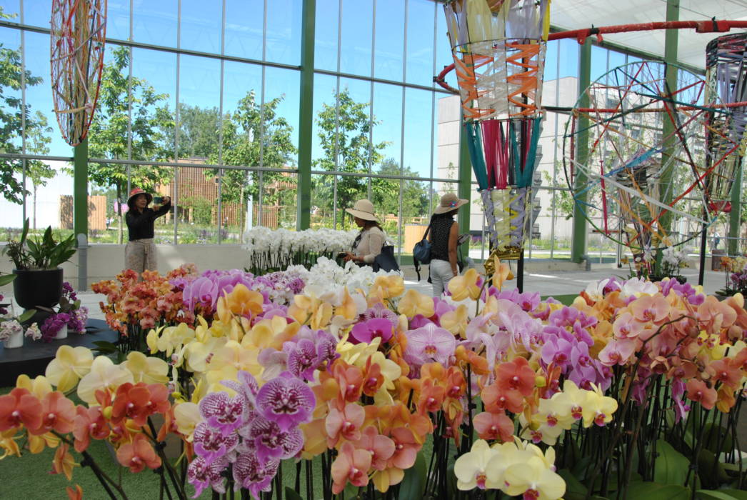 Corona and inflation impact Floriade visitation numbers • AIPH