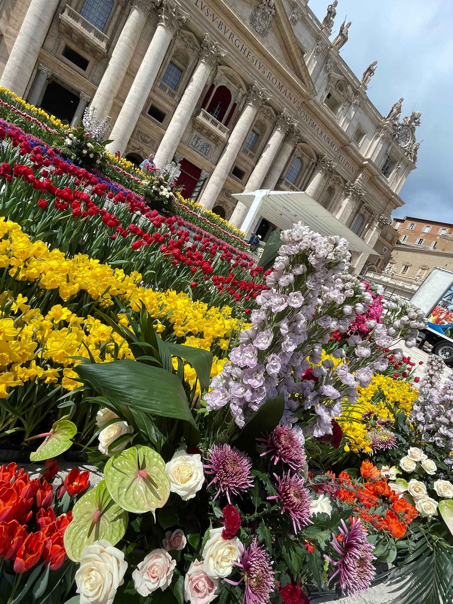 Dutch flowers to adorn St. Peter’s Square during forthcoming Easter ...