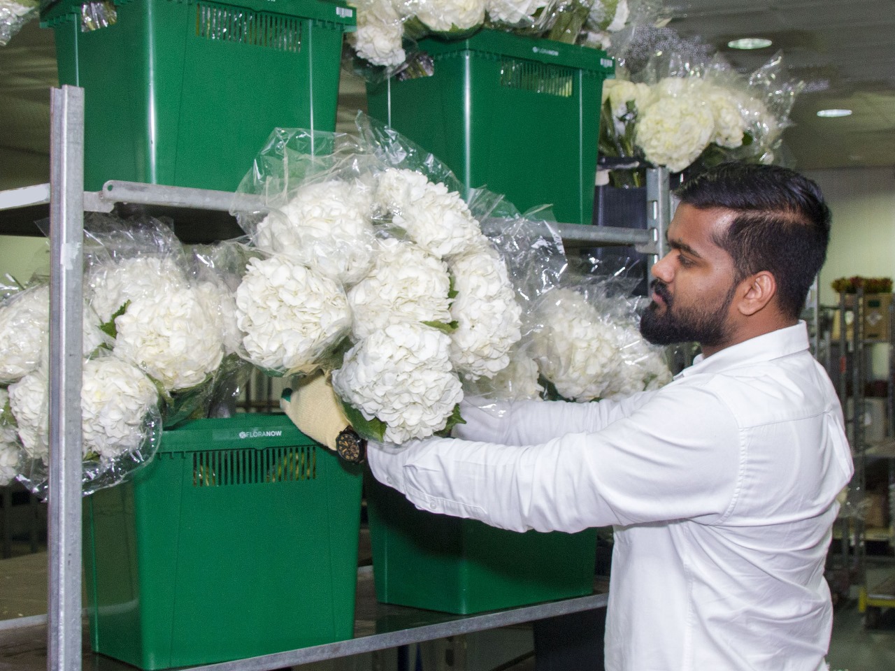 Dubai-based b2b e-commerce platform Floranow carves its place in the ...
