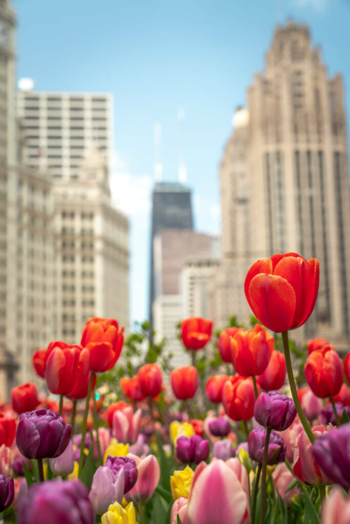 International Statistics Flowers & Plants 2024: Trusted Resource for ...